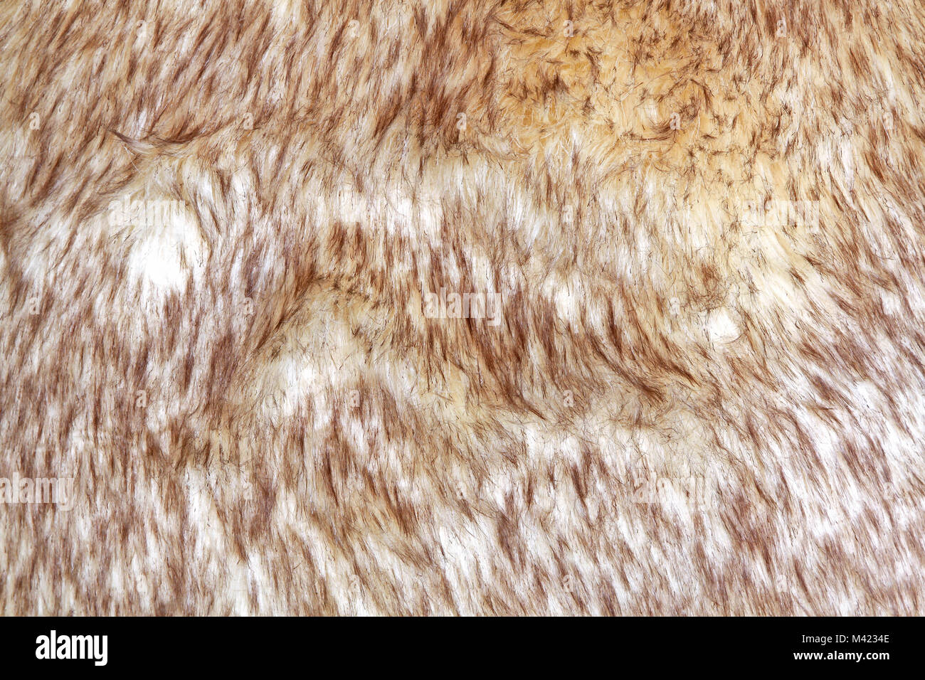 Detailed fur pattern hi-res stock photography and images - Alamy