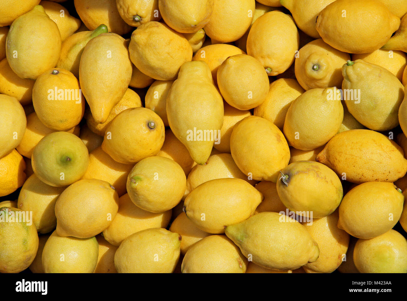 Big lemons hi-res stock photography and images - Alamy