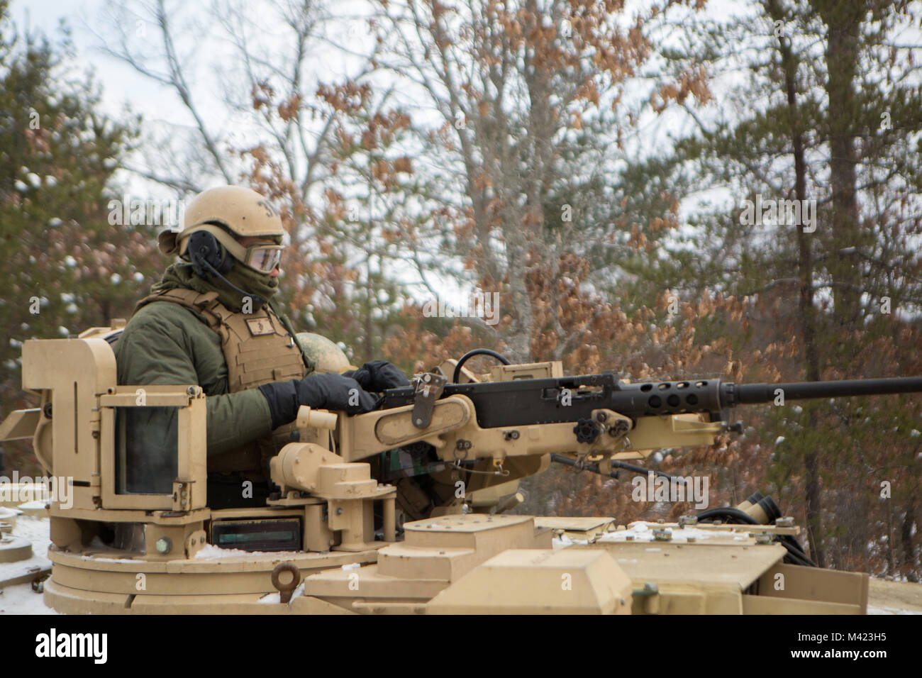 A Marine with Fox Company, 4th Tank Battalion, 4th Marine Division ...