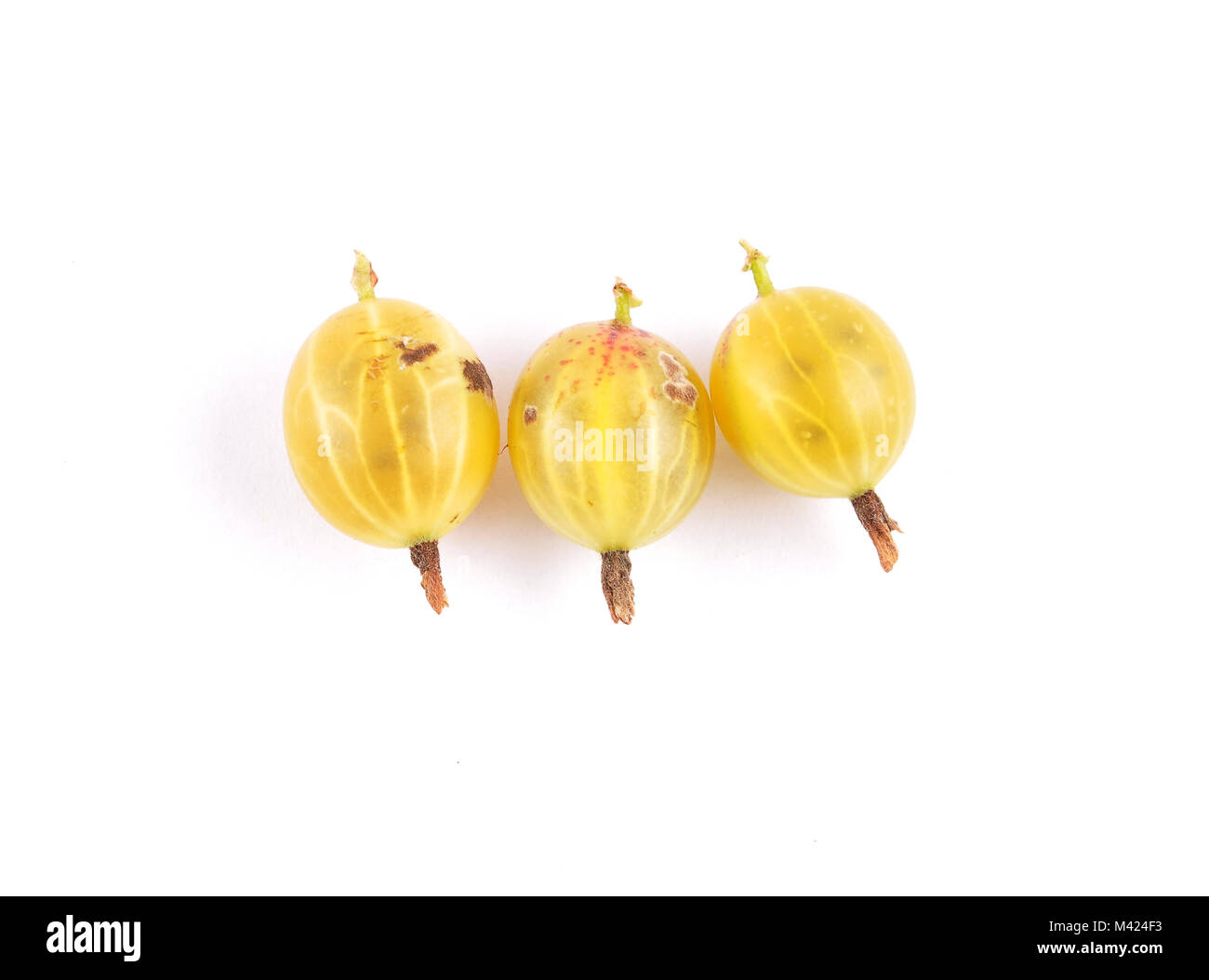 Yellow gooseberry on white Stock Photo - Alamy