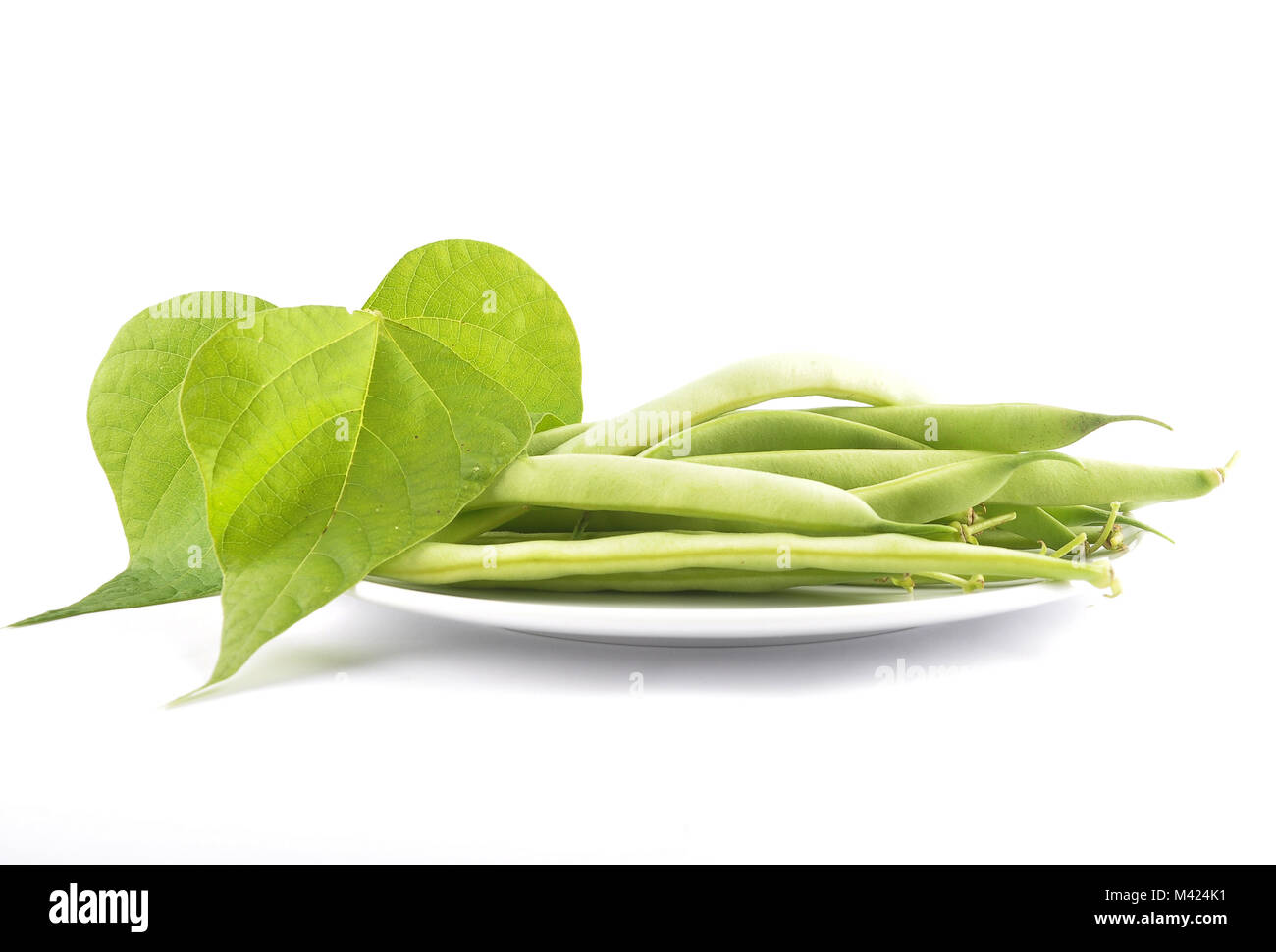 Bean pole Cut Out Stock Images & Pictures - Alamy