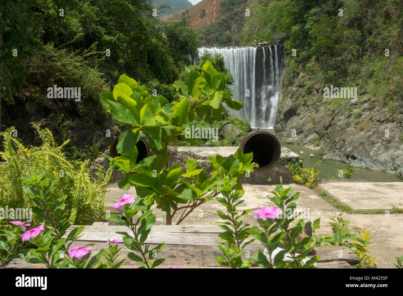 Reggae falls jamaica hi-res stock photography and images - Alamy