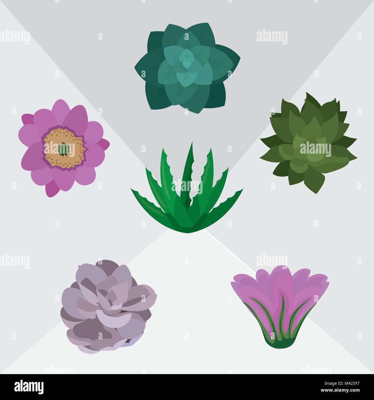 Set of flowers Stock Vector Image & Art - Alamy