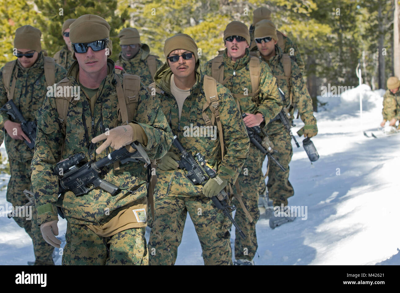United States Marines with Echo Company, 2nd Battalion, 5th Marine ...