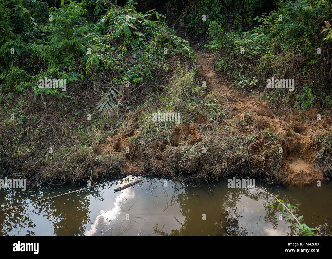 Elephant tracks hi-res stock photography and images - Alamy