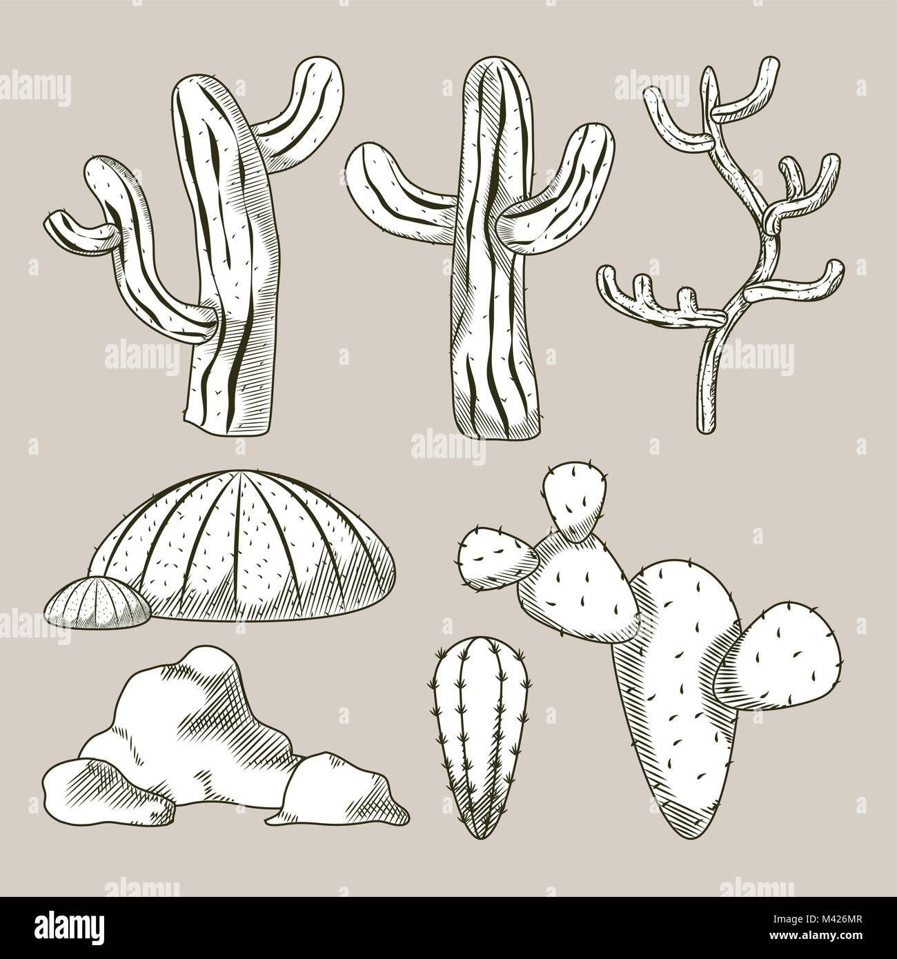 Desert plants hand drawn cartoons Stock Vector Image & Art - Alamy