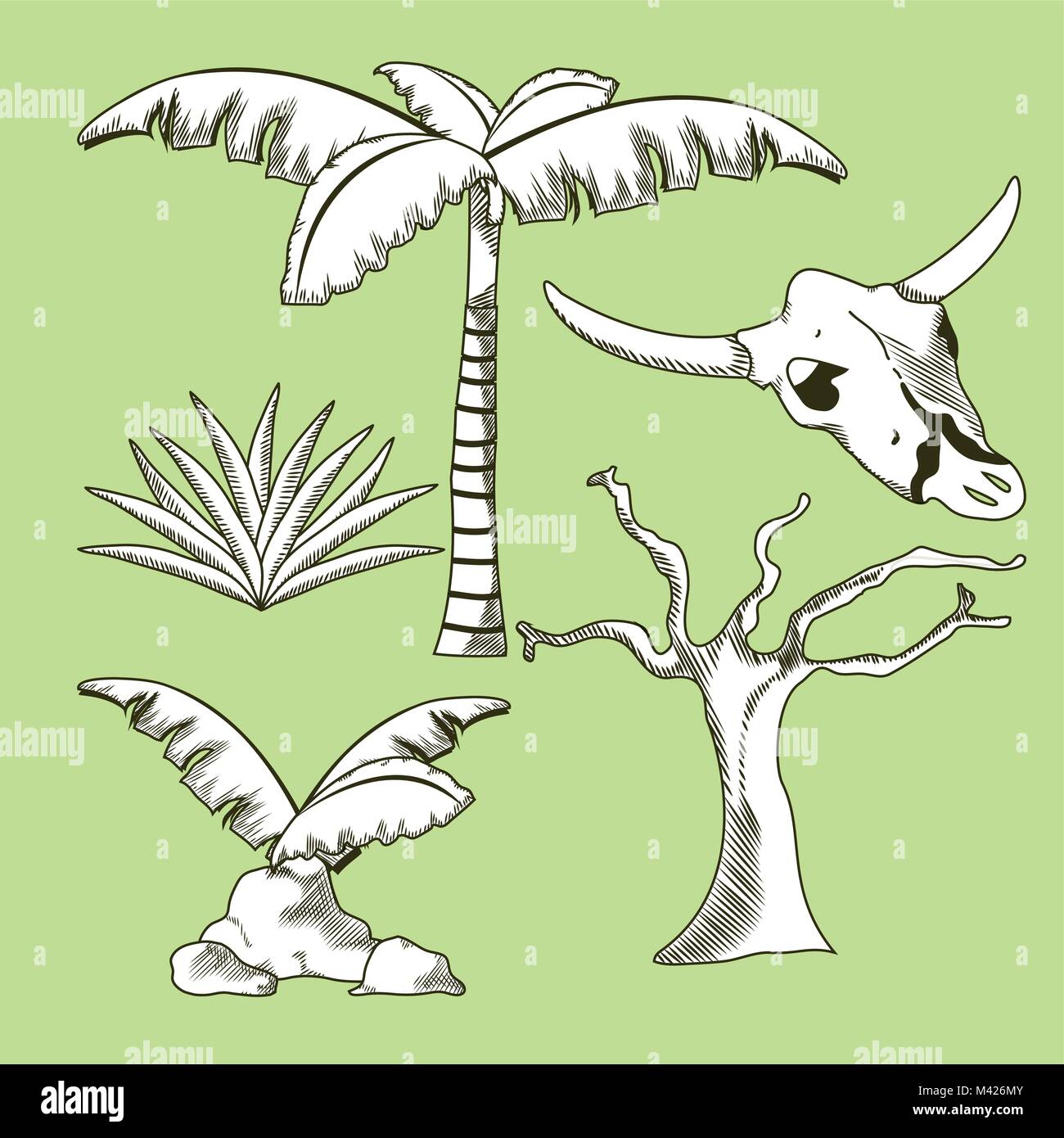 Desert plants hand drawn cartoons Stock Vector Image & Art - Alamy