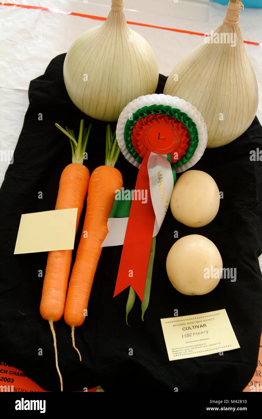 Vegetable show at Margam Park, Wales Stock Photo - Alamy
