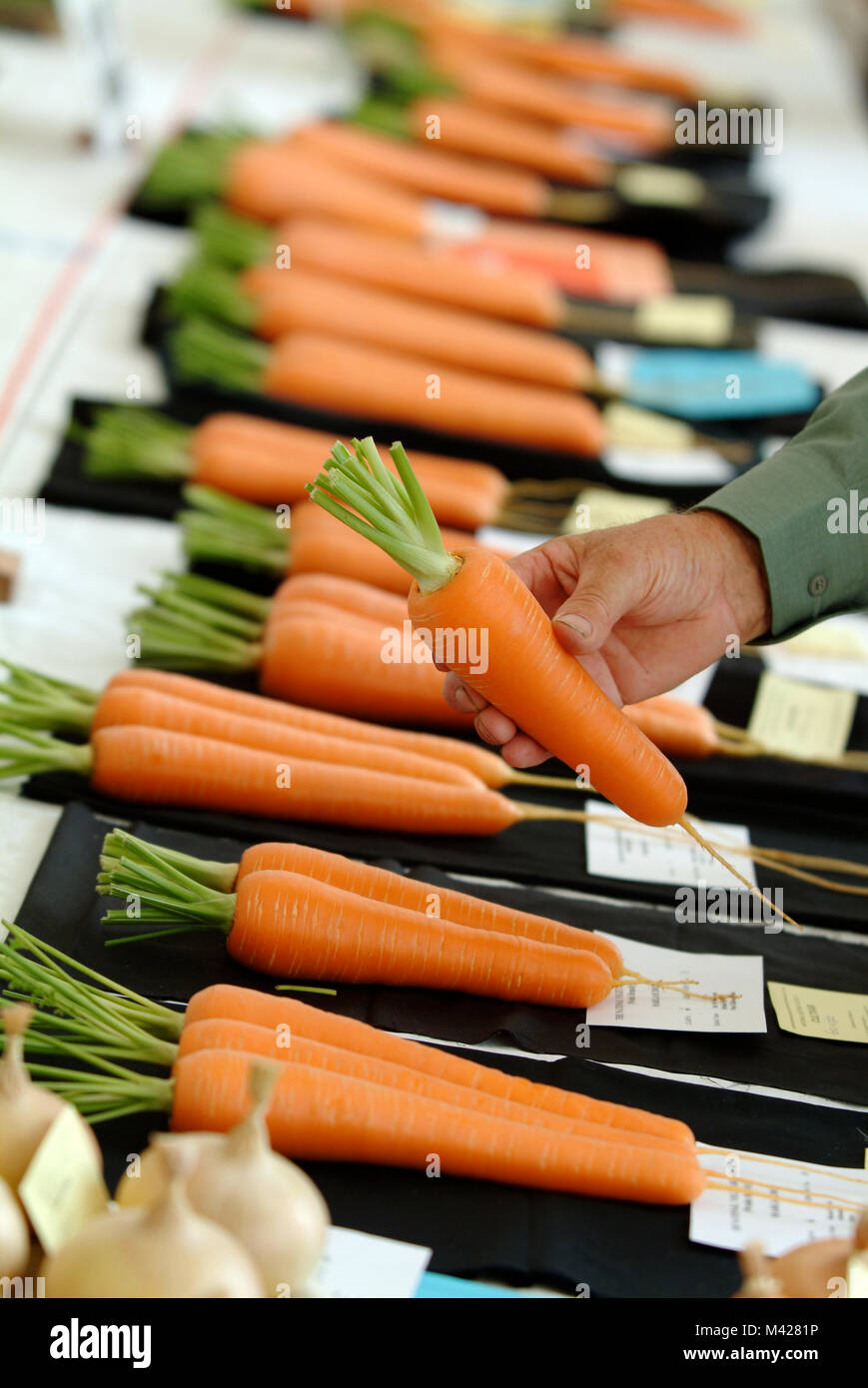 Vegetable show at Margam Park, Wales Stock Photo - Alamy