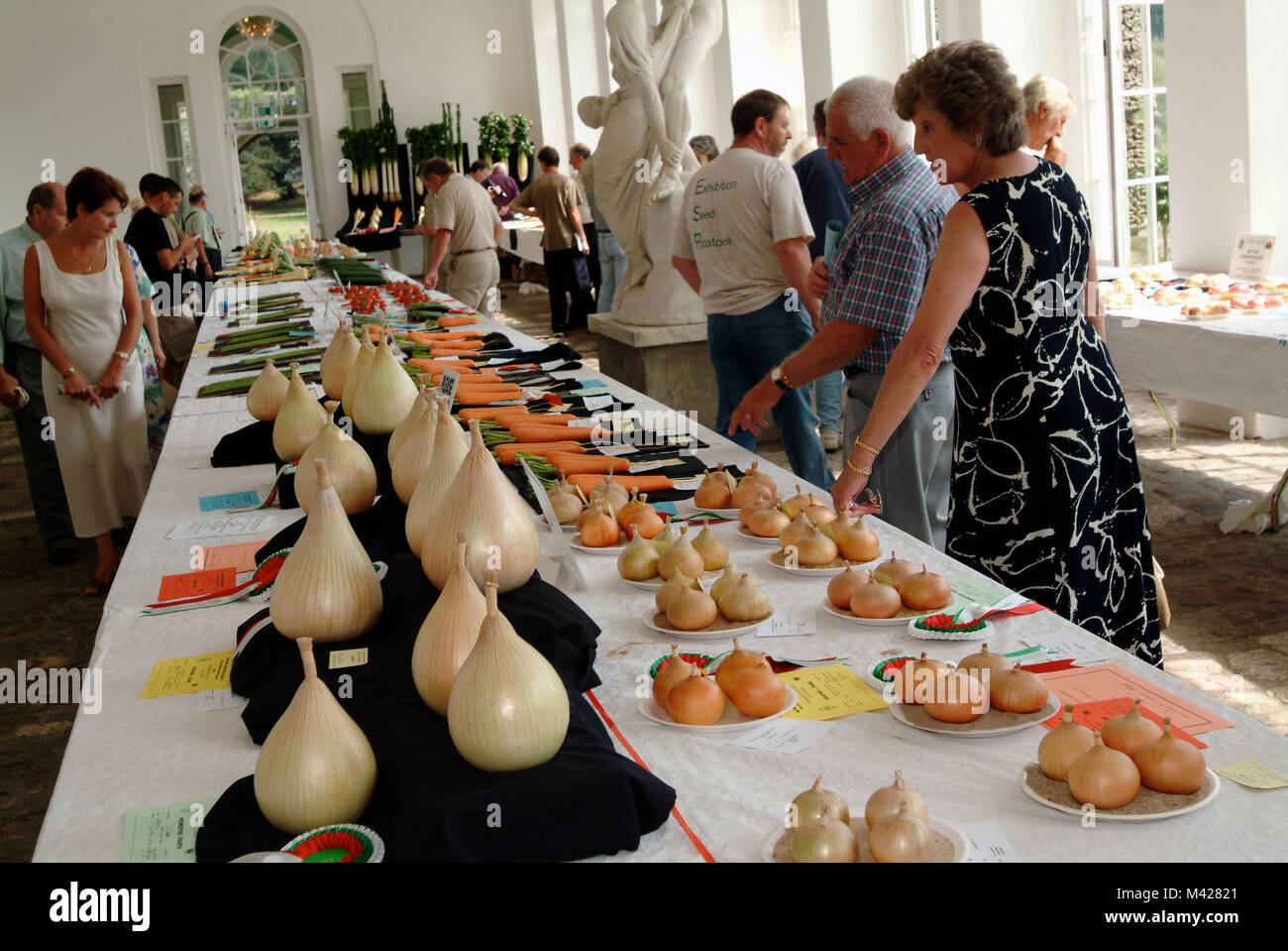 Vegetable show at Margam Park, Wales Stock Photo - Alamy