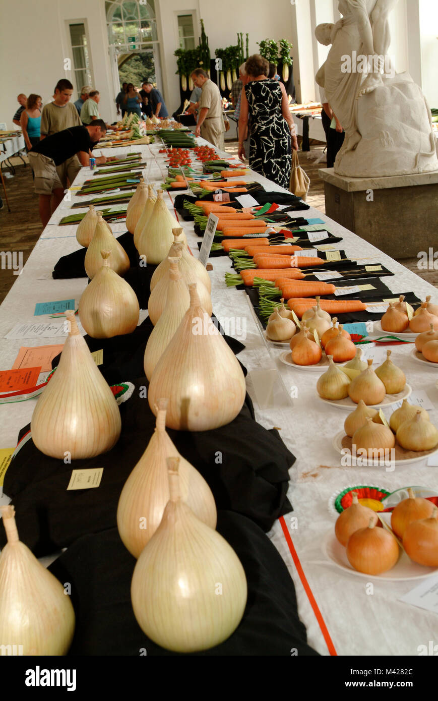 Vegetable show at Margam Park, Wales Stock Photo - Alamy