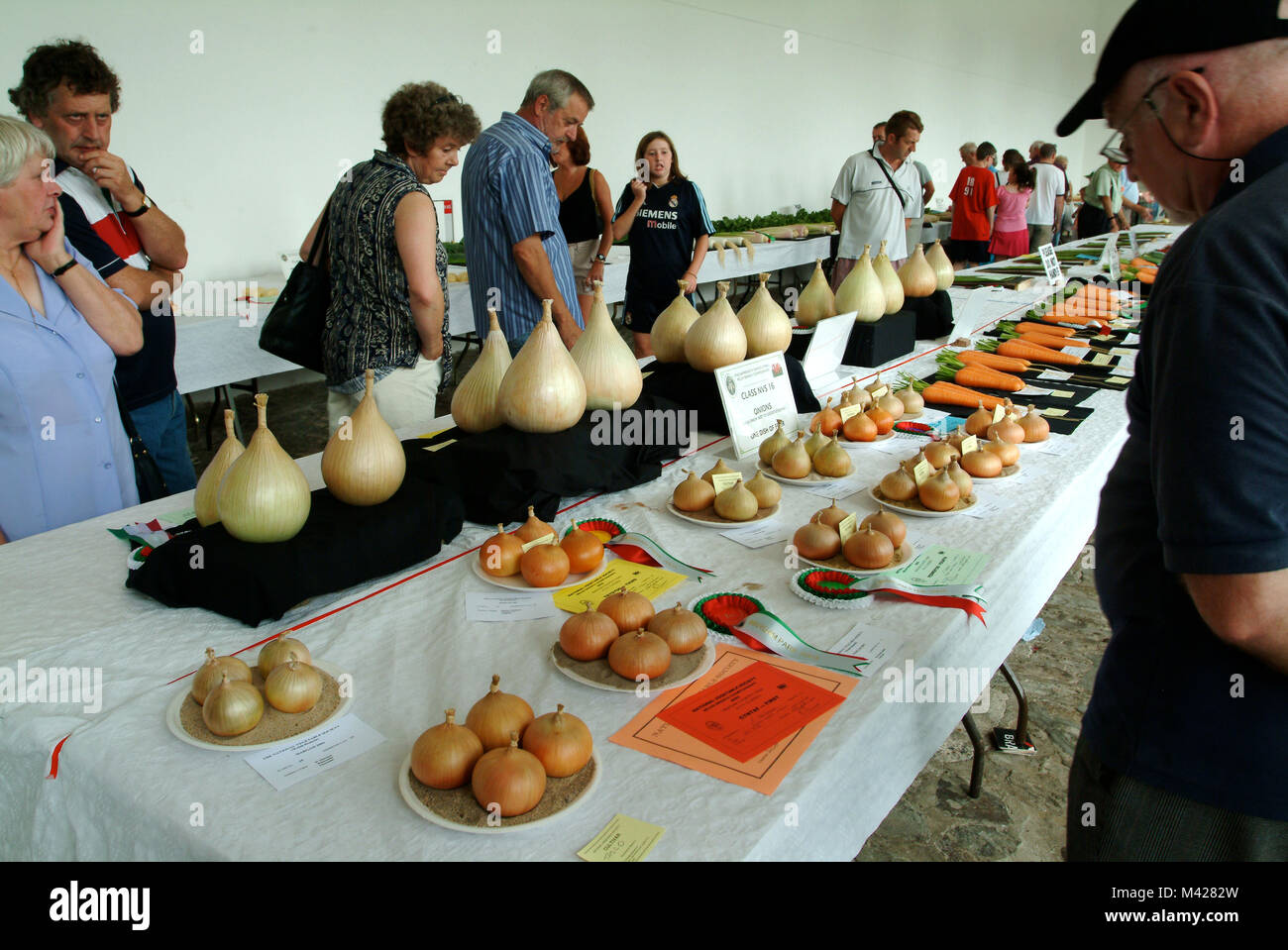Vegetable show at Margam Park, Wales Stock Photo - Alamy