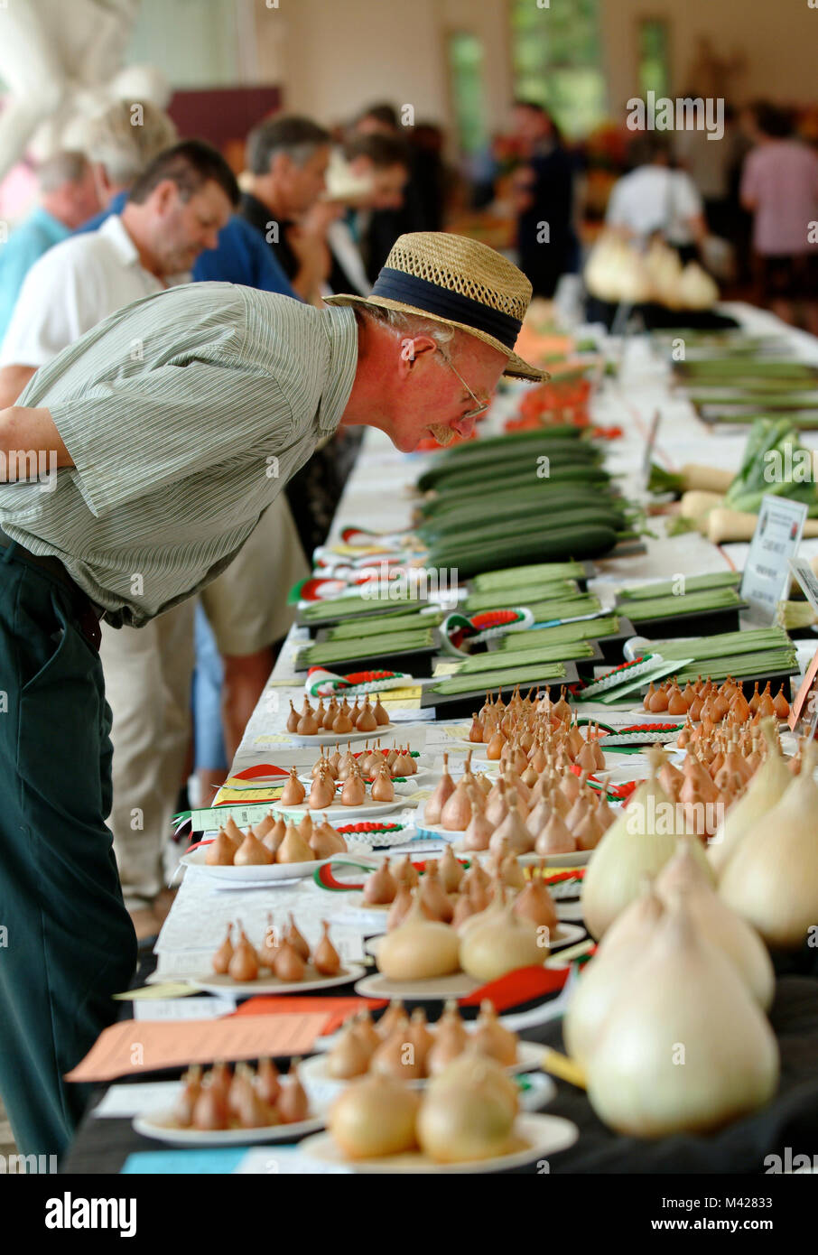 Vegetable show at Margam Park, Wales Stock Photo - Alamy