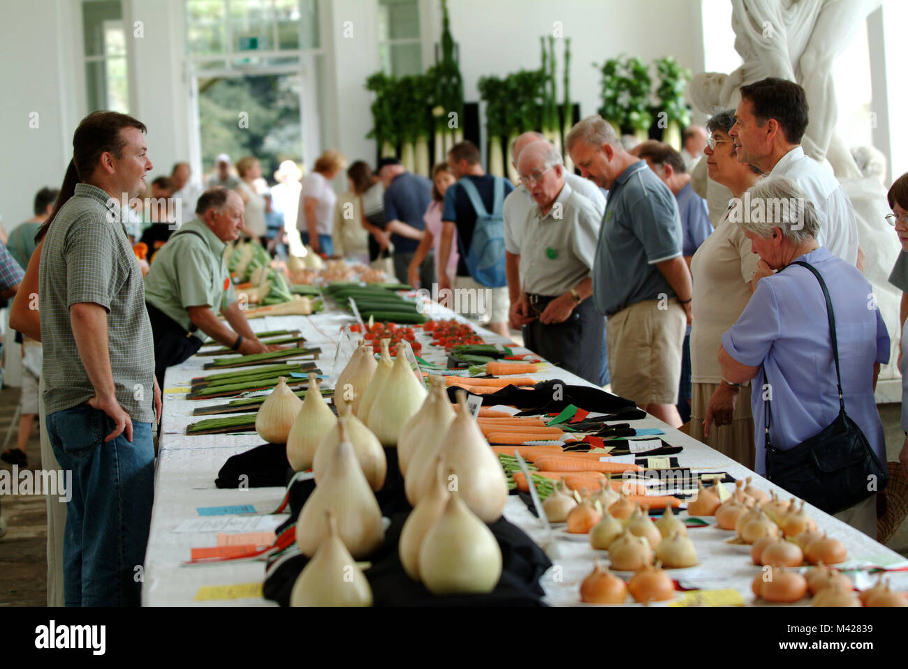 Vegetable show at Margam Park, Wales Stock Photo - Alamy