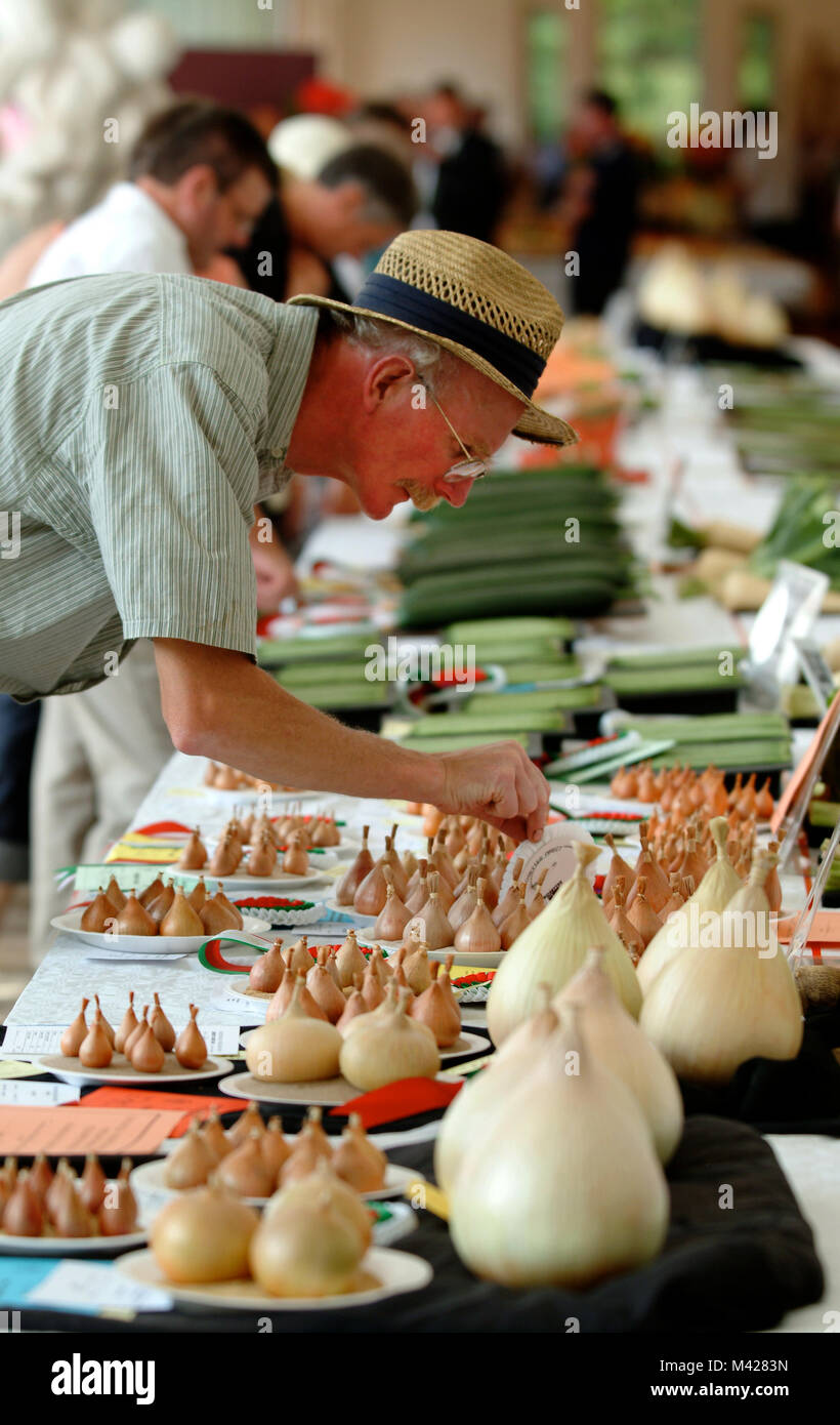 Vegetable show at Margam Park, Wales Stock Photo - Alamy