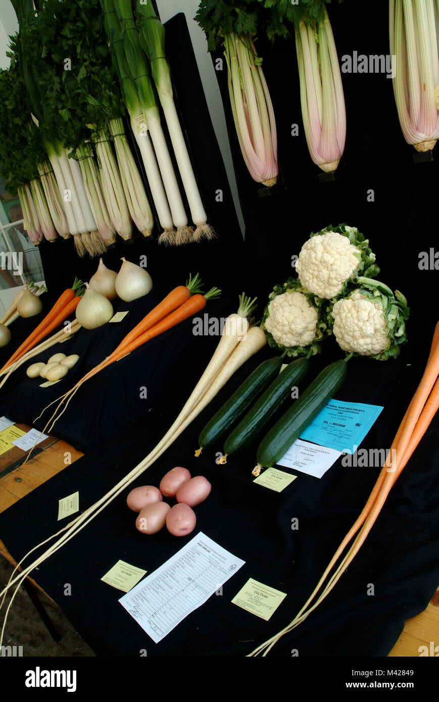 Vegetable show at Margam Park, Wales Stock Photo - Alamy