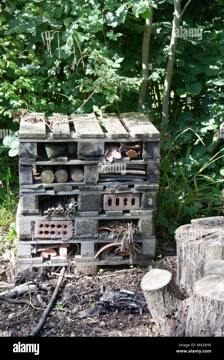 Overwintering insect hide constructed from old pallets tucked away in a ...