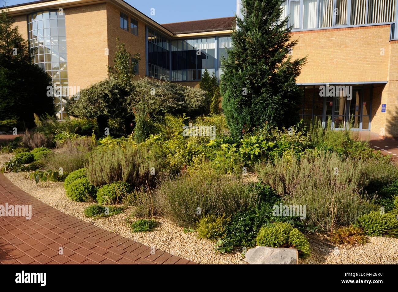 Garden Modern Hedges High Resolution Stock Photography and Images - Alamy