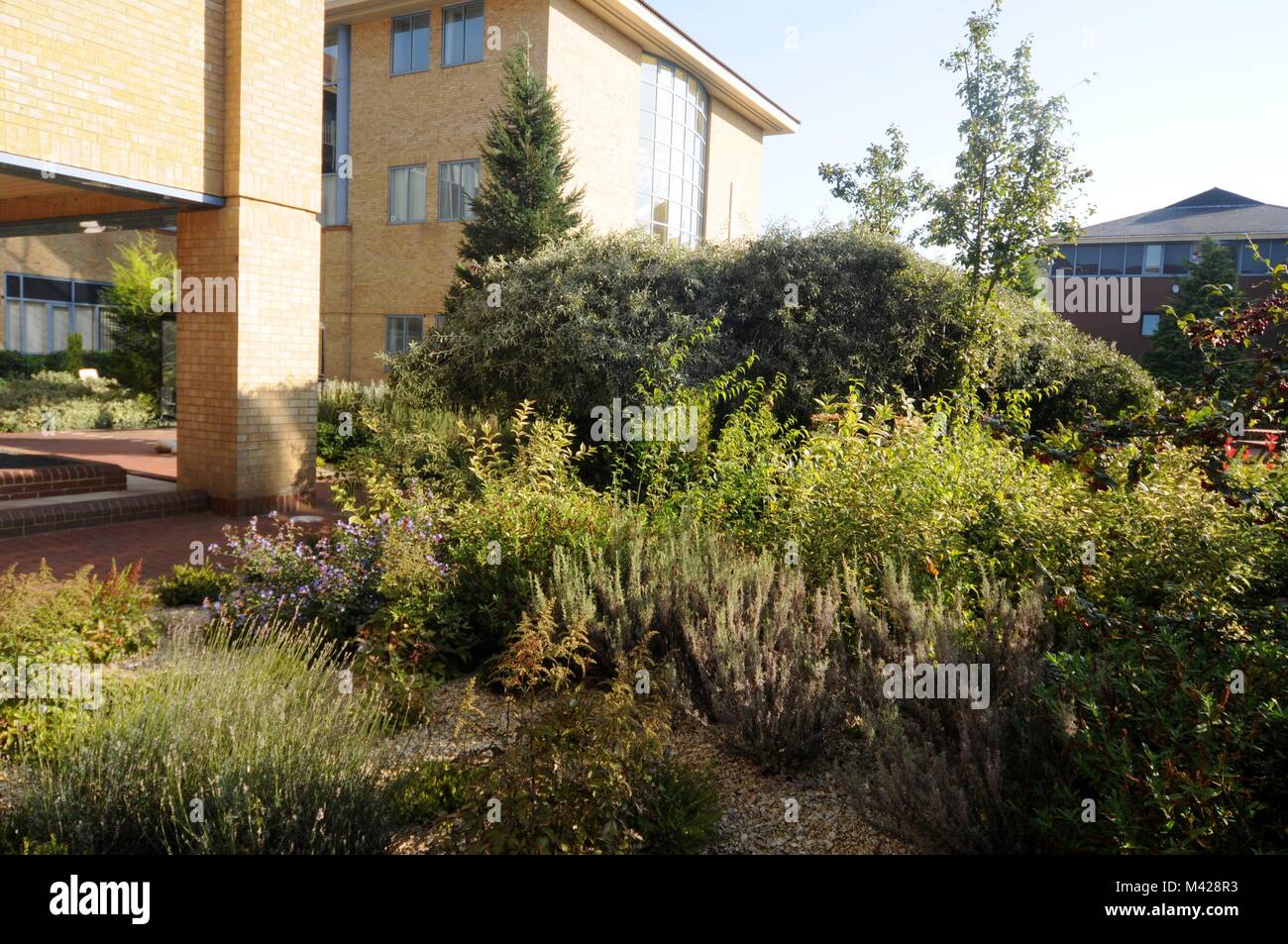 Landscape design and maintenance Stock Photo - Alamy