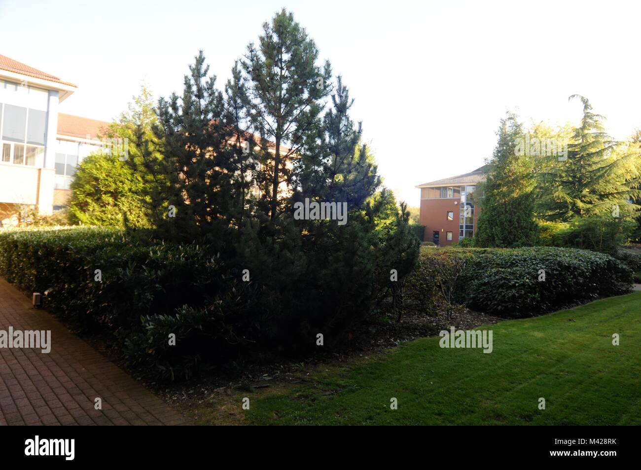 Landscape design and maintenance Stock Photo - Alamy