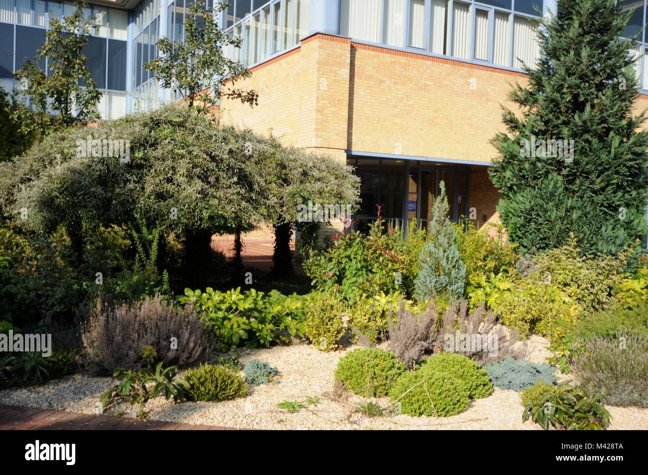 Landscape design and maintenance Stock Photo - Alamy