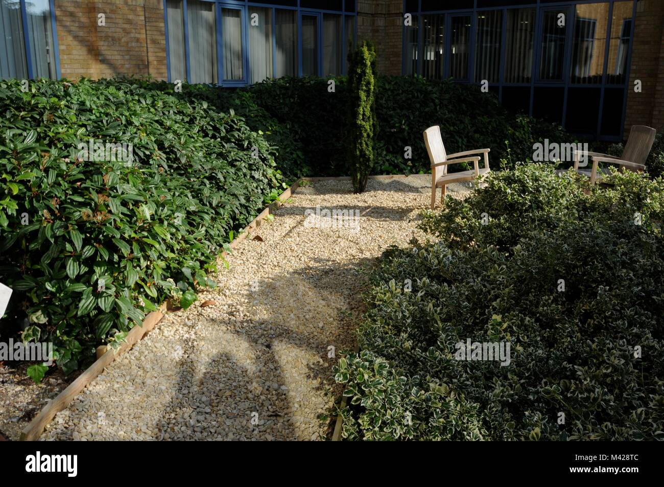Garden Modern Hedges High Resolution Stock Photography and Images - Alamy