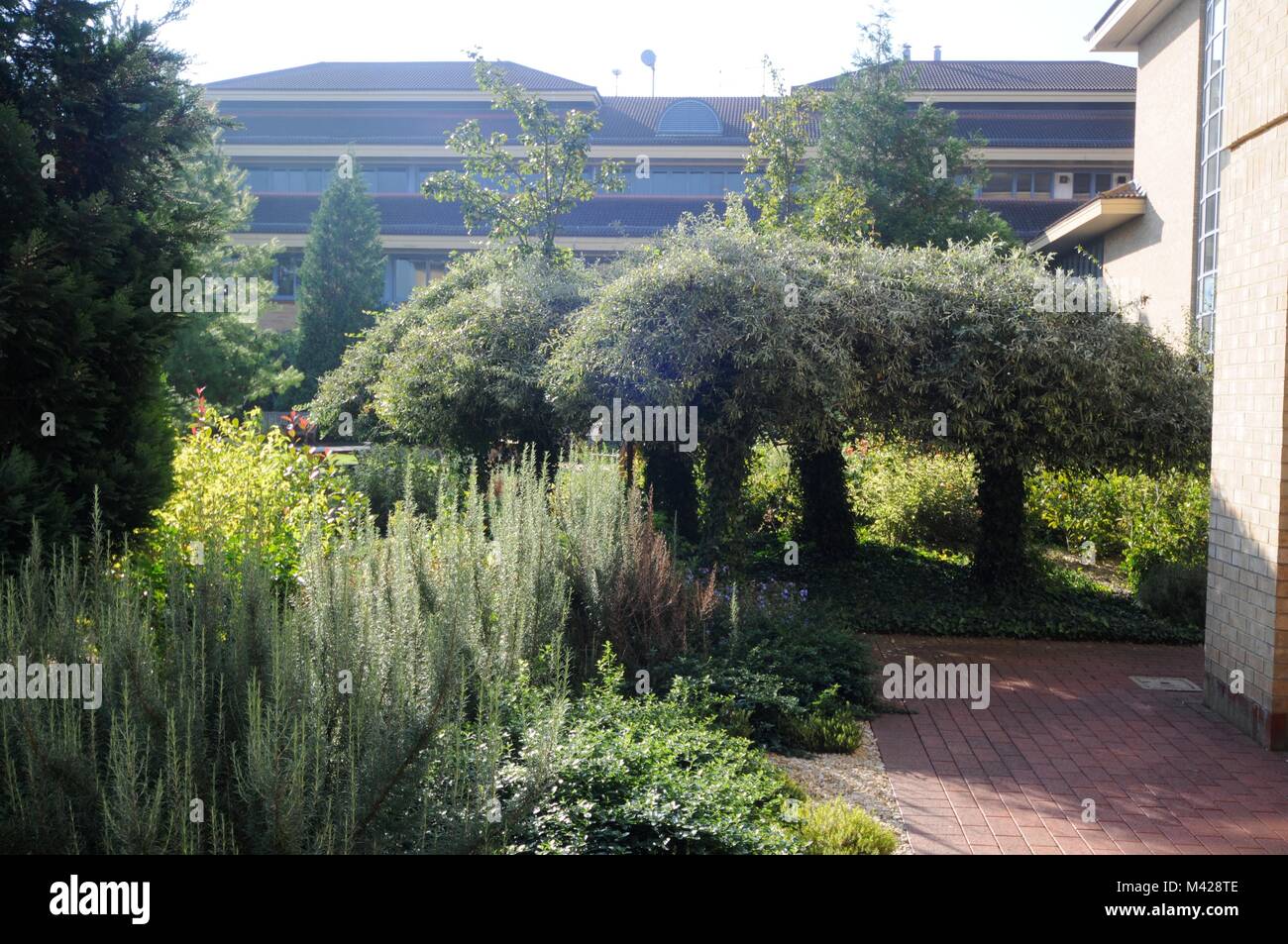 Garden Modern Hedges High Resolution Stock Photography and Images - Alamy