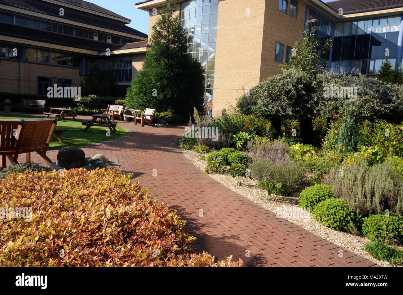 Garden Modern Hedges High Resolution Stock Photography and Images - Alamy