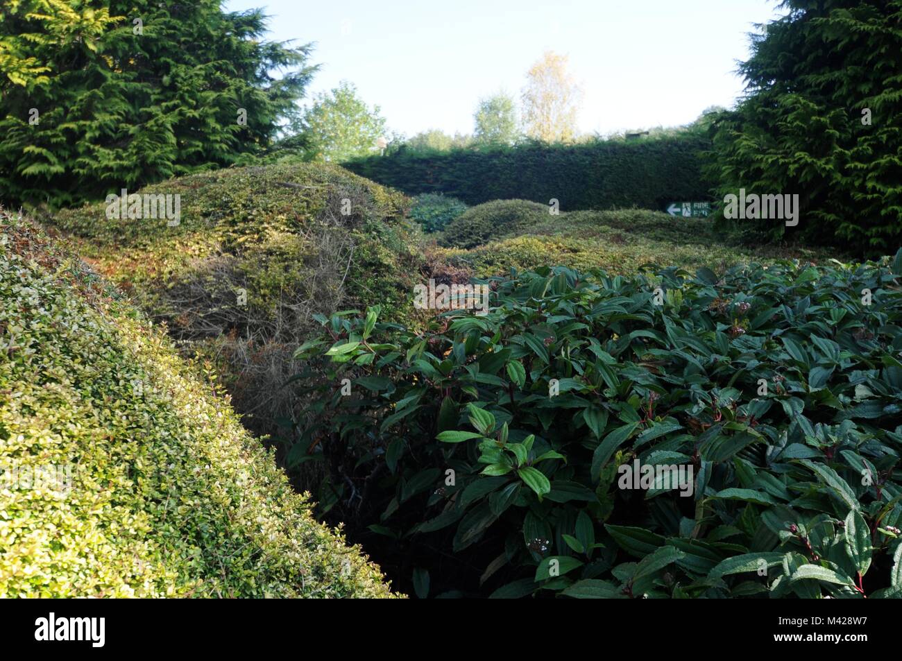 Garden Modern Hedges High Resolution Stock Photography and Images - Alamy