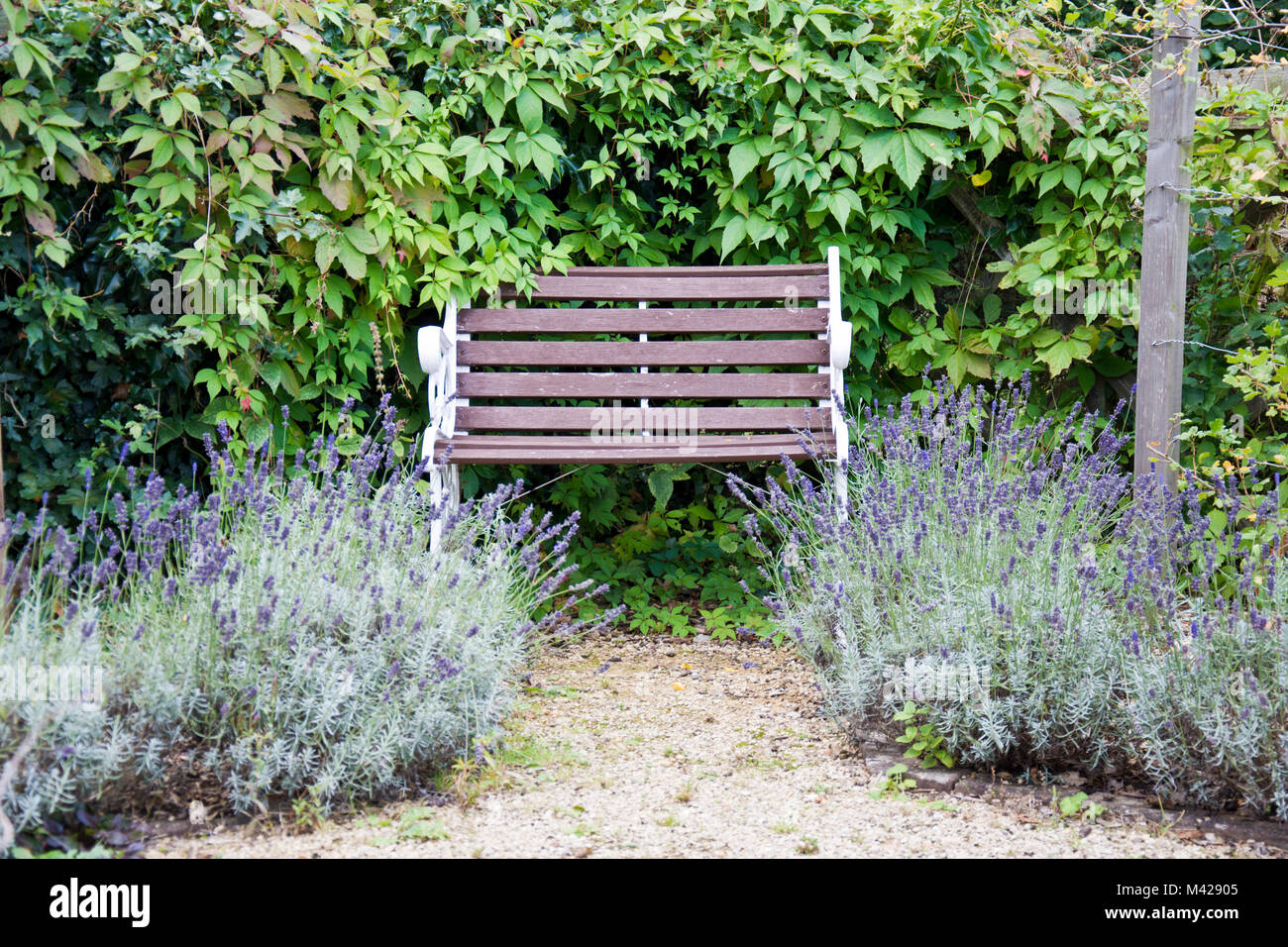 Empty garden hi-res stock photography and images - Alamy