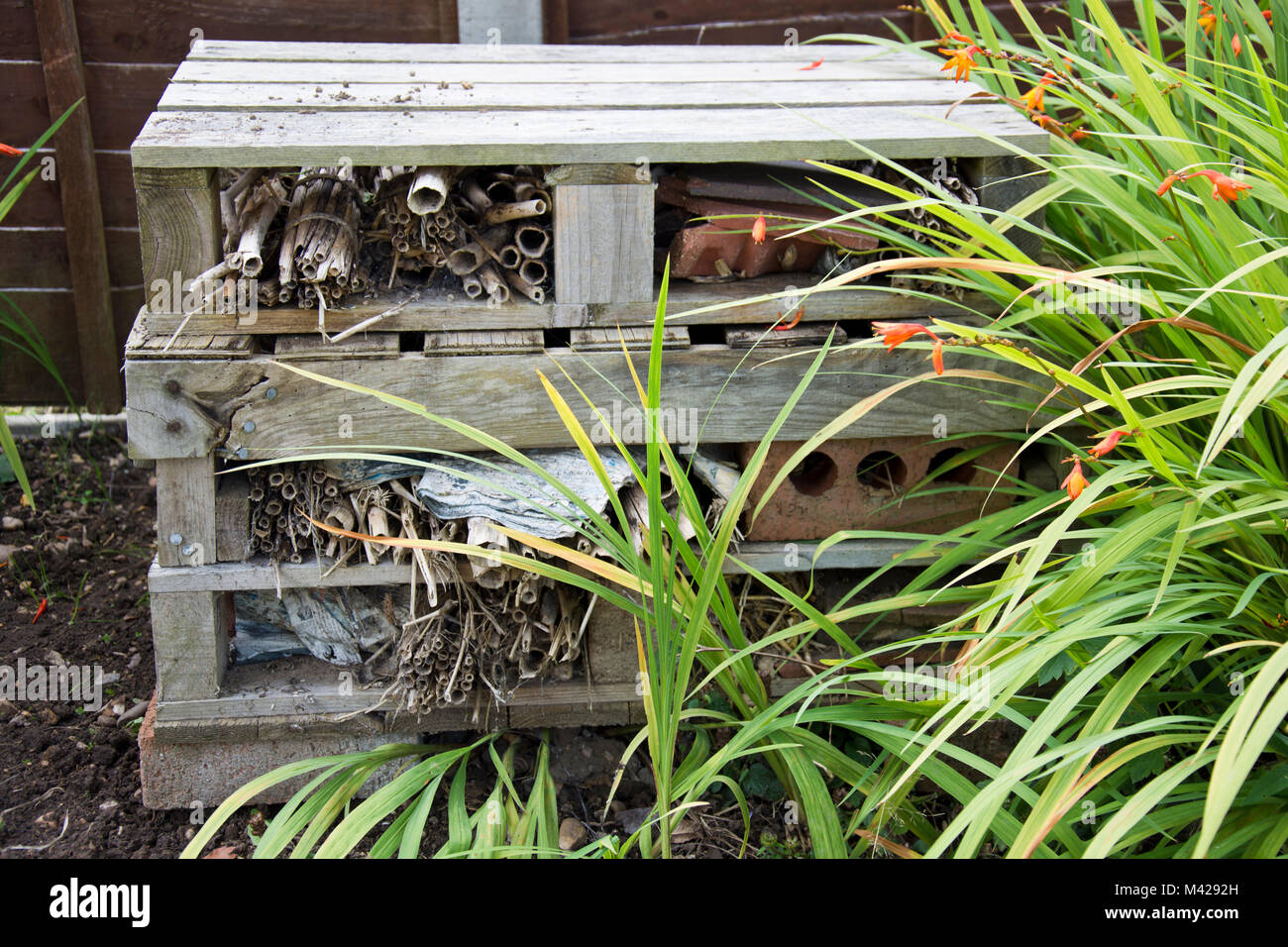 Overwintering insect hide constructed from old pallets tucked away in a ...