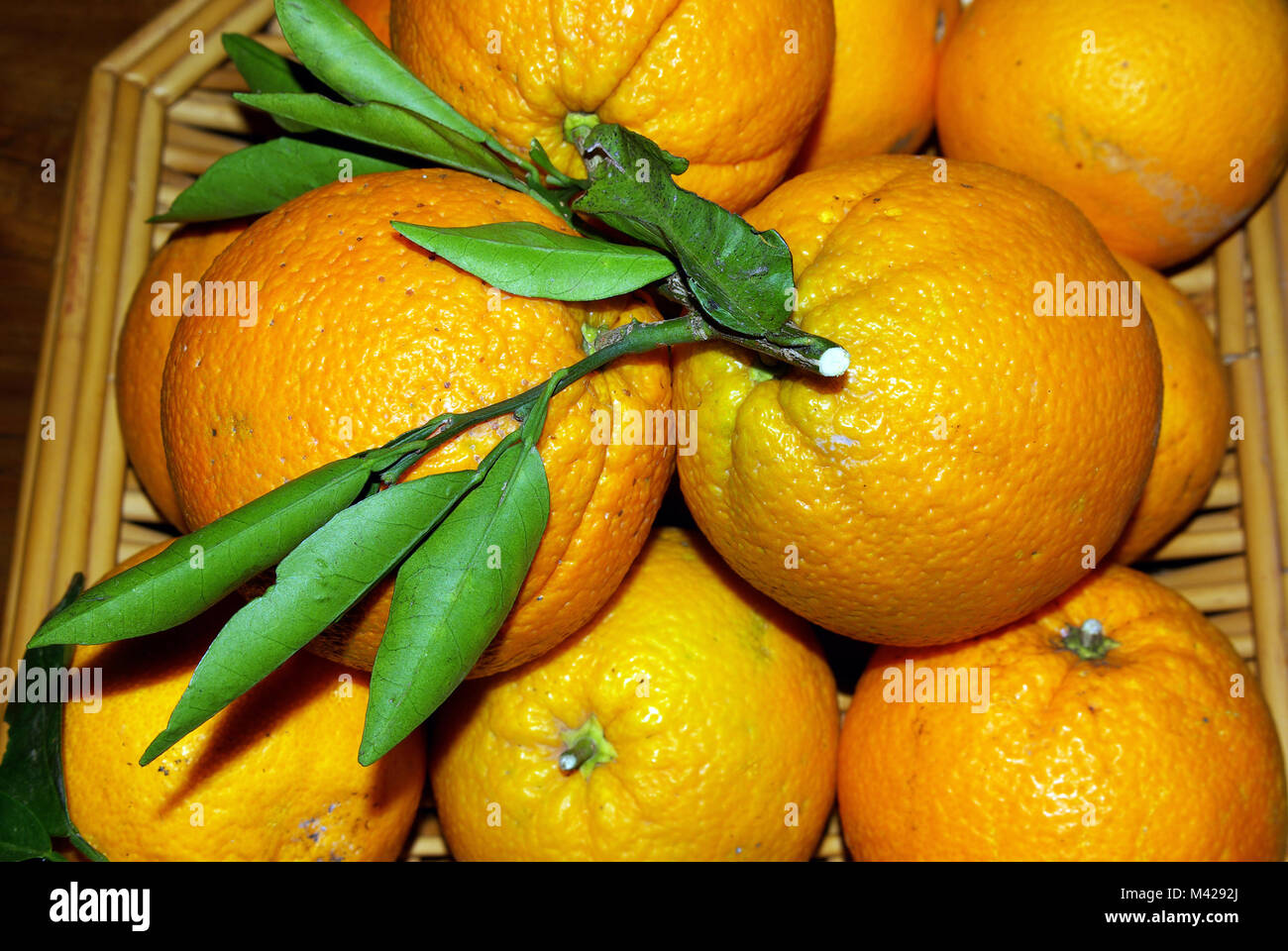 Naveline hi-res stock photography and images - Alamy