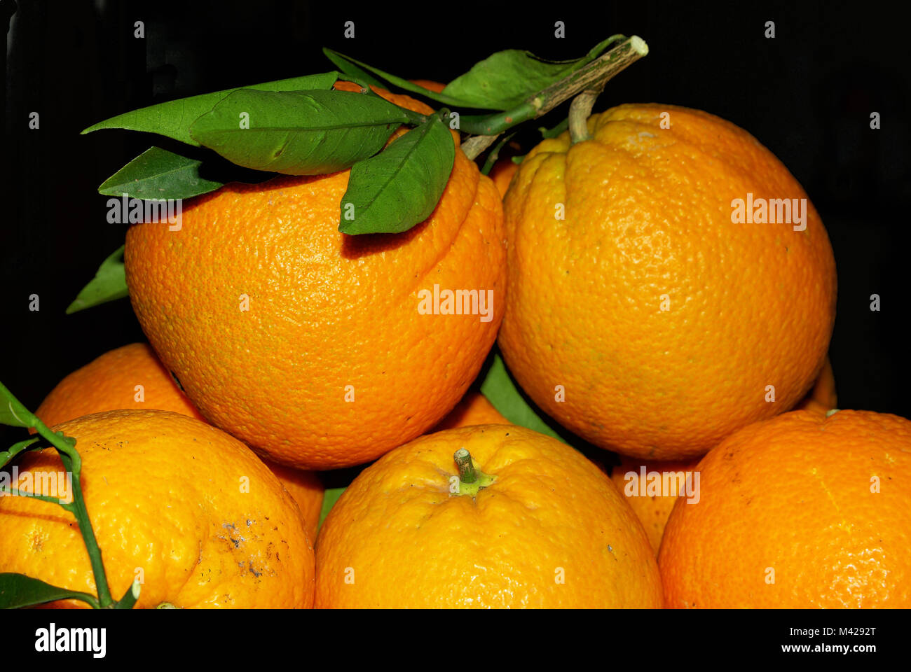 Naveline hi-res stock photography and images - Alamy