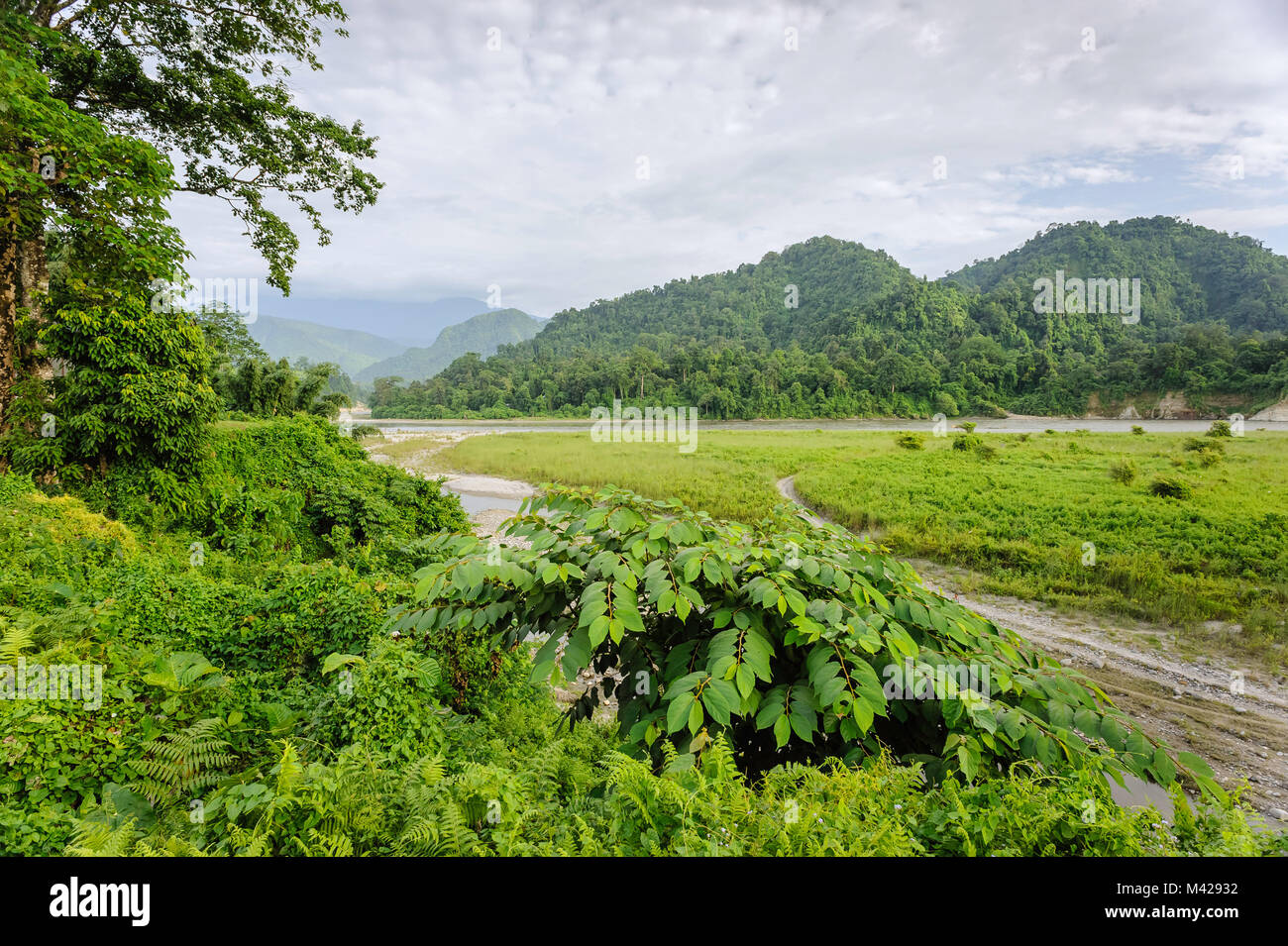 Arunachal pradesh border hi-res stock photography and images - Alamy