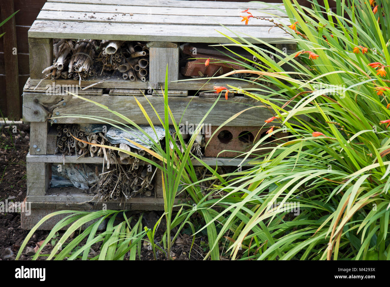 Overwintering insect hide constructed from old pallets tucked away in a ...