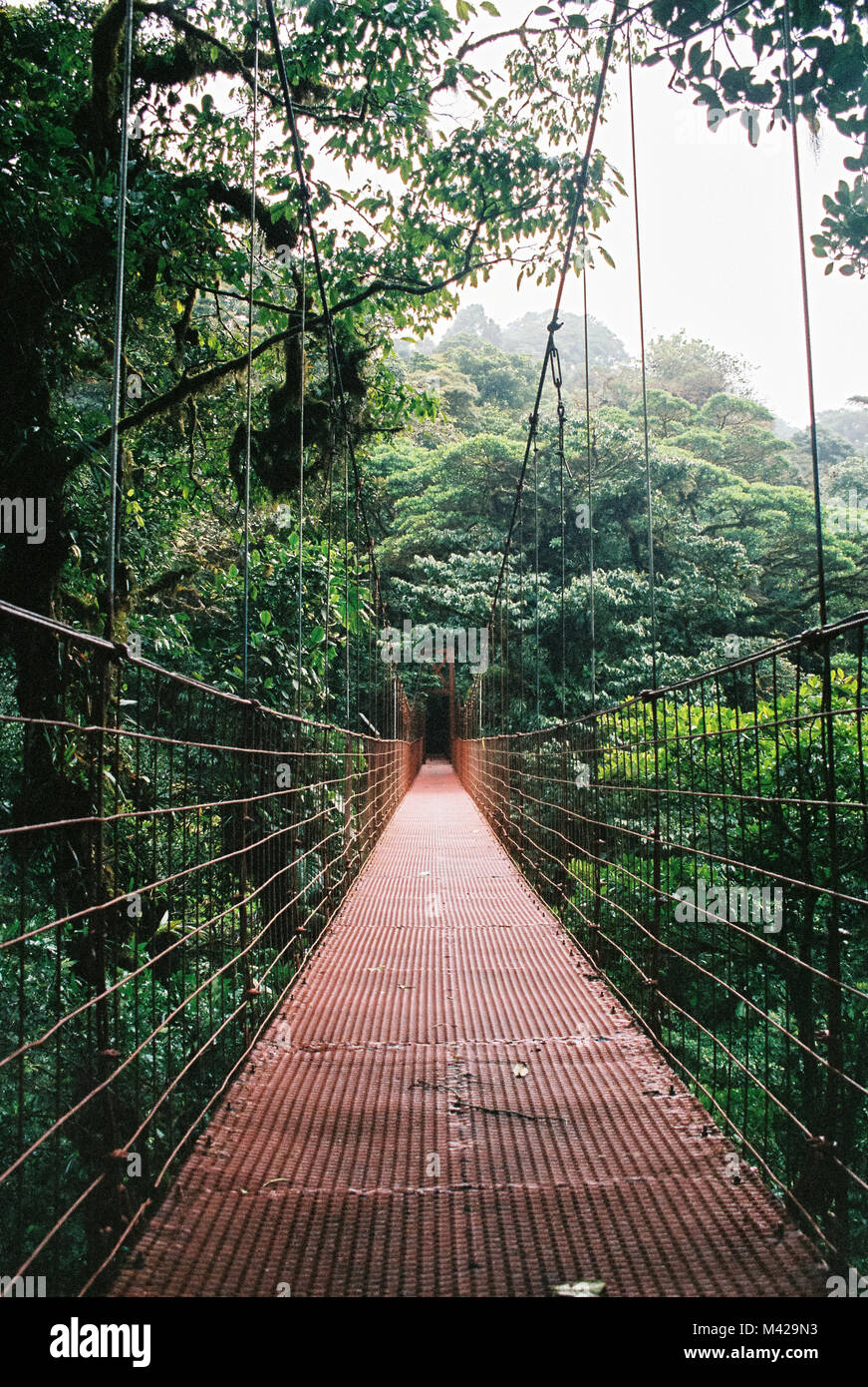 Red hanging bridge in one of the most famous national parks of Costa ...