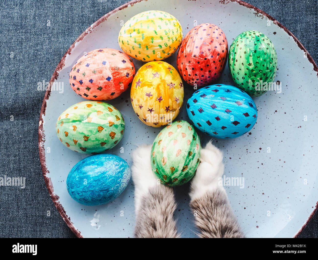 Cat's paws hugging the Easter egg on a blue plate Stock Photo - Alamy