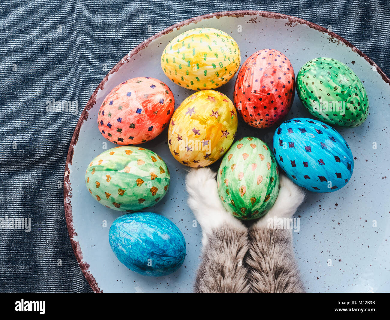 Cat's paws hugging the Easter egg on a blue plate Stock Photo - Alamy