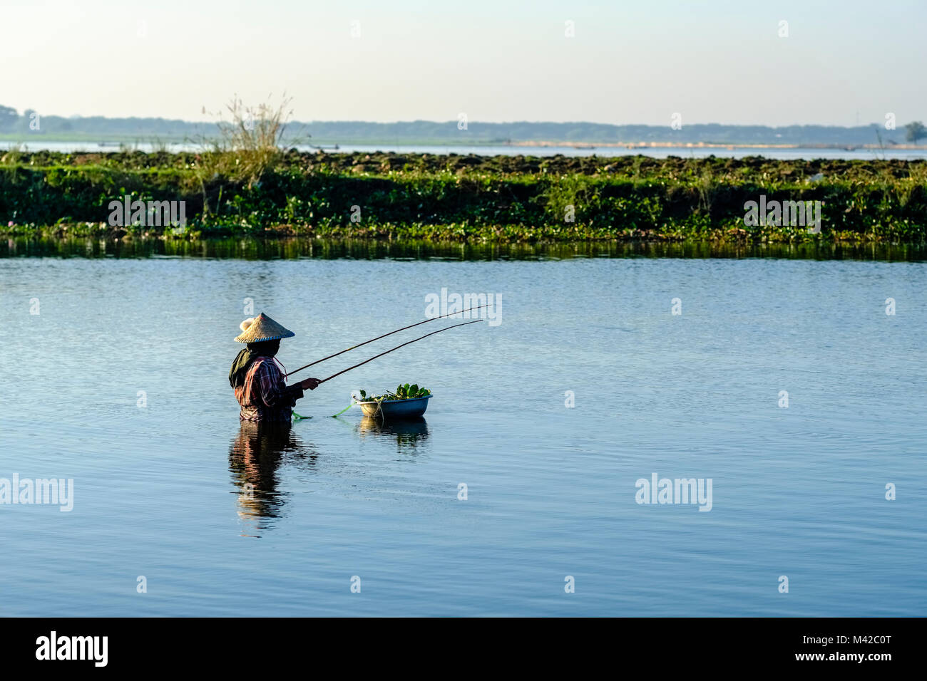 A woman, standing in the shallow water of Taungthaman Lake, is fishing ...