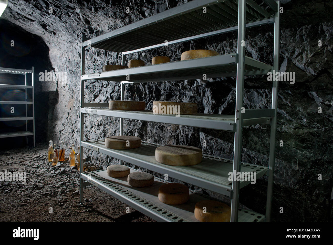 seasoning of cheese in the mine Stock Photo - Alamy