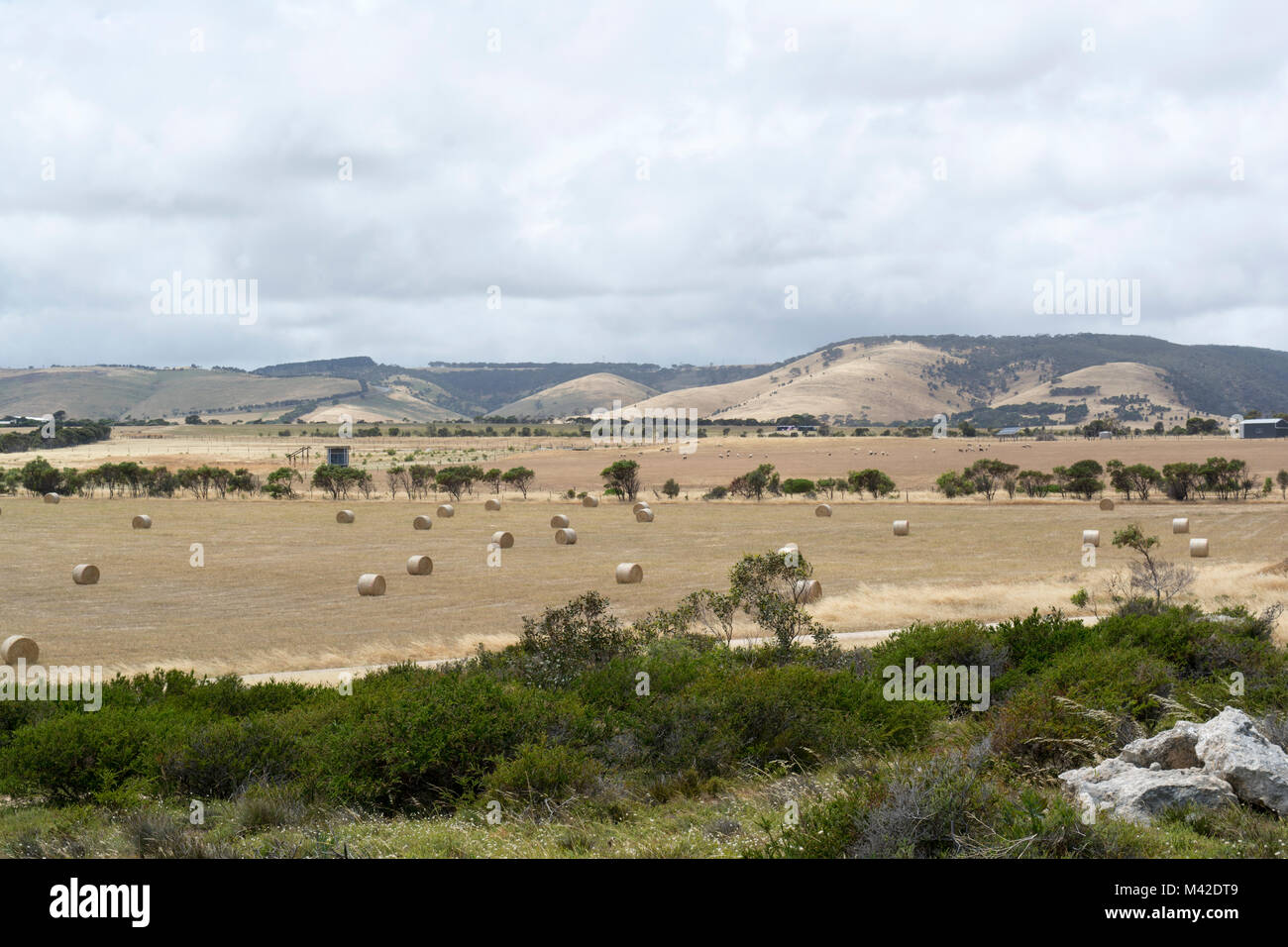 Random coastal farm field of hay bales and hills at it's back. Found at ...