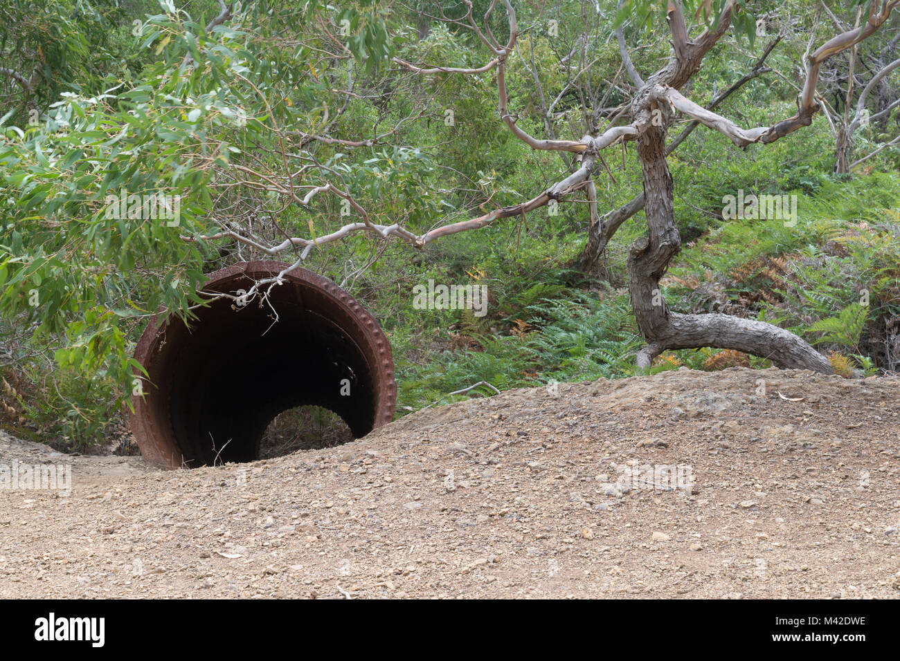Heritage silver trail hi-res stock photography and images - Alamy