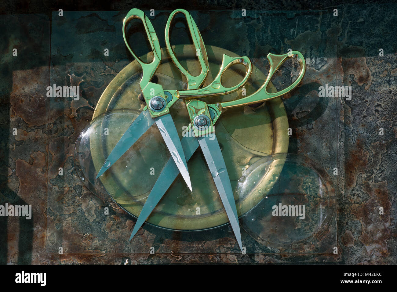 Two opened elegant scissors with gold handles and gray blades on a ...