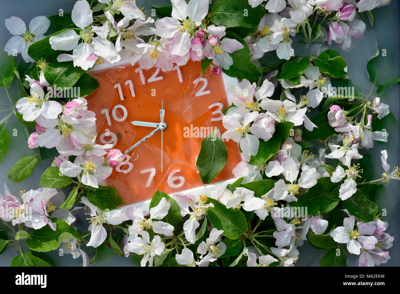 Bright orange wall clock with white numbers and silver arrows ...