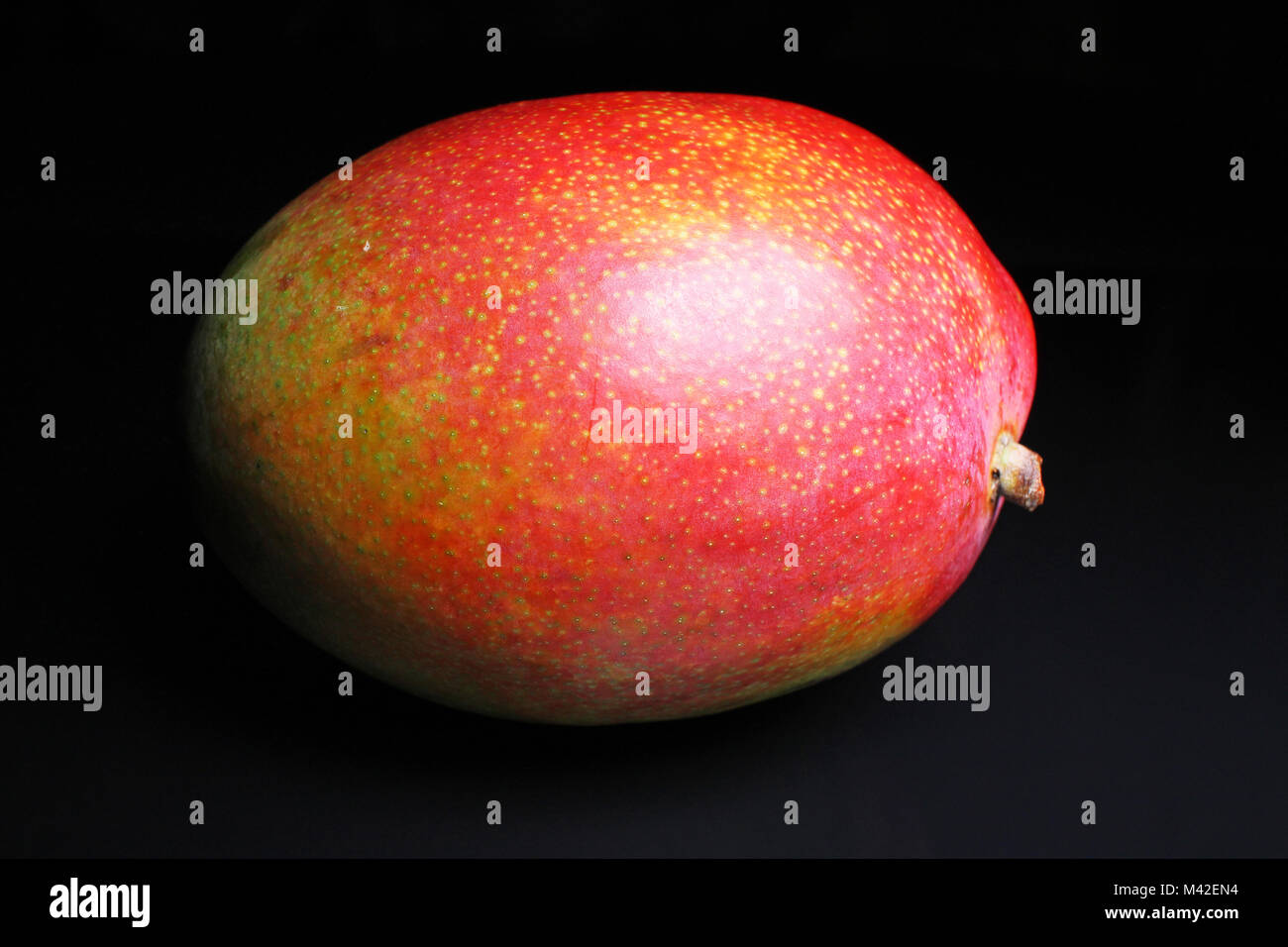 Whole mango on black reflective studio background. Isolated black shiny ...