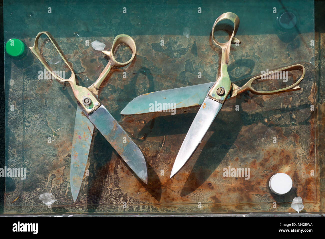 Pair of old scissors with open rusty blades lie perpendicular to each ...
