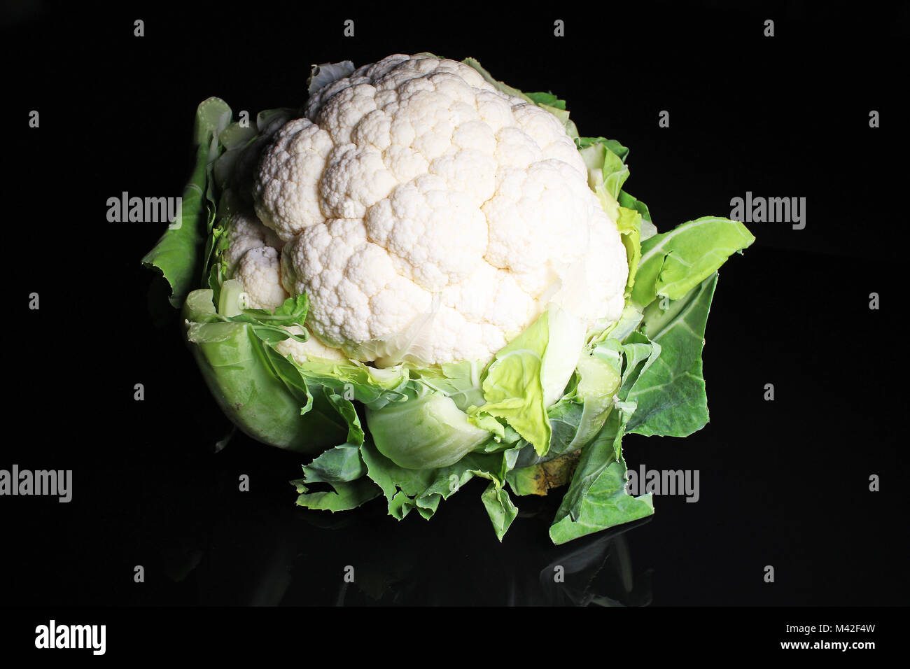 Cauliflower head curd coliflor on black reflective studio background ...