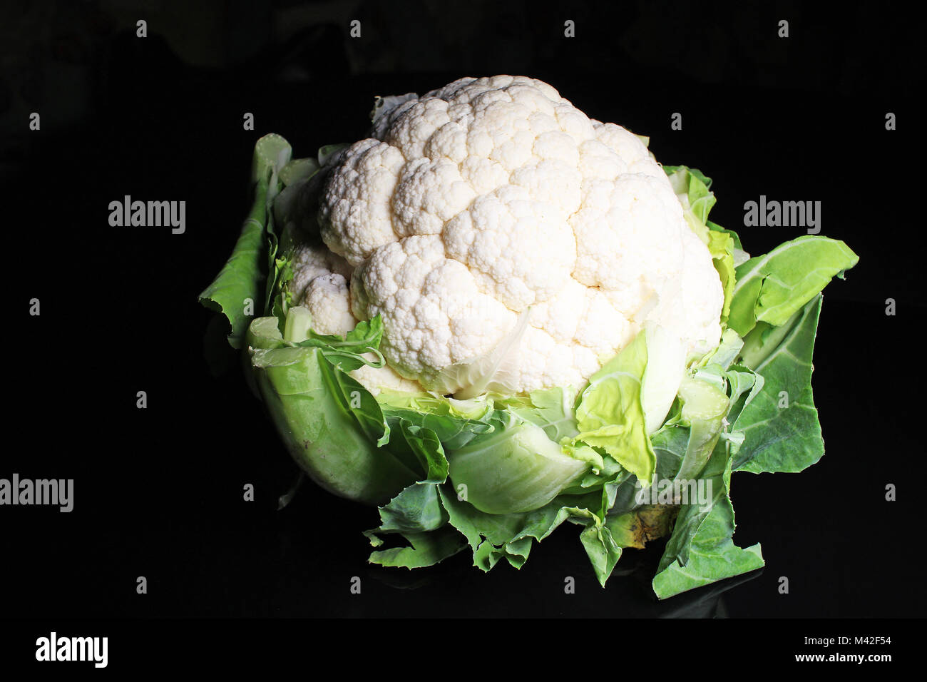 Cauliflower head curd coliflor on black reflective studio background ...
