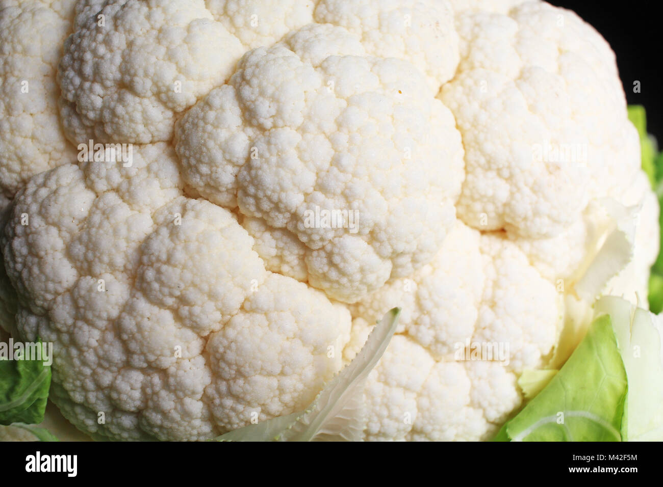 Cauliflower head curd coliflor on black reflective studio background ...