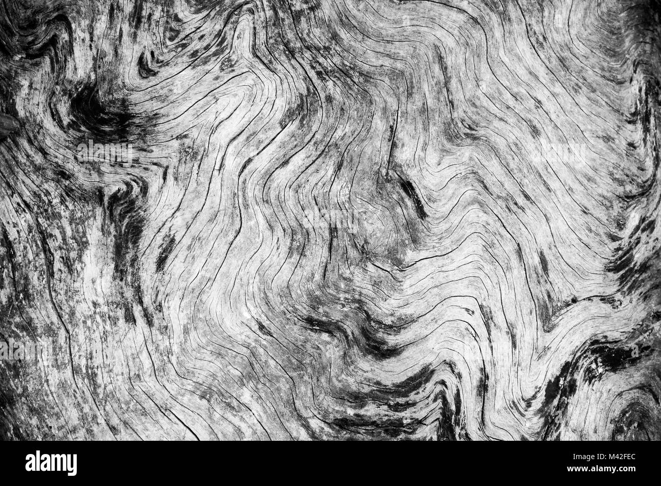 Dark bac Black and White Stock Photos & Images - Alamy